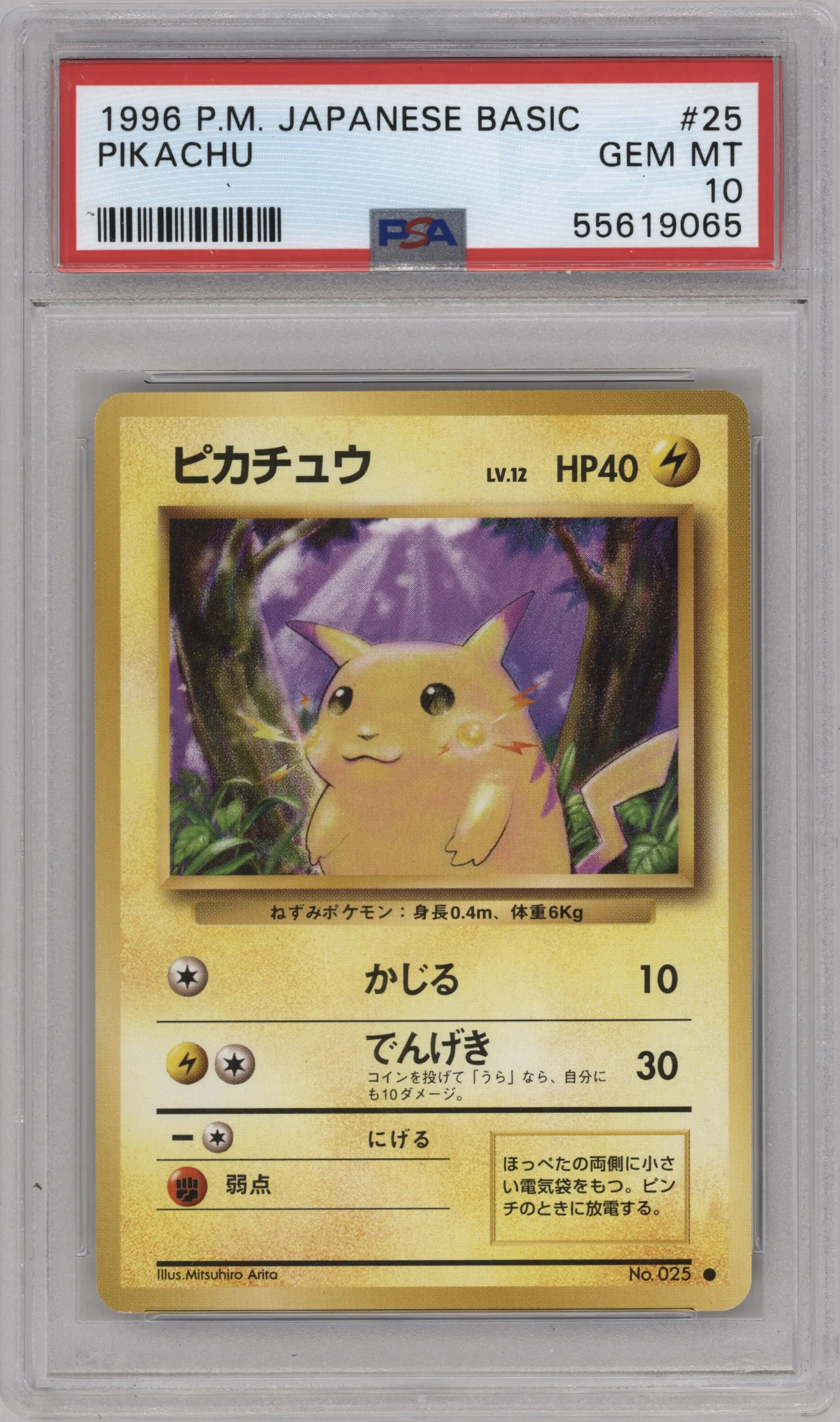 Pikachu | ARENA CLUB