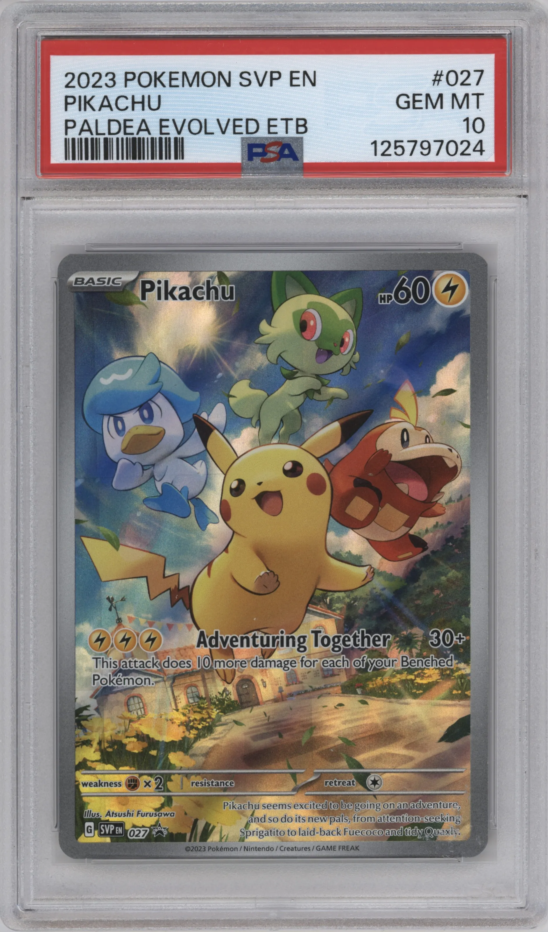 Pikachu | ARENA CLUB