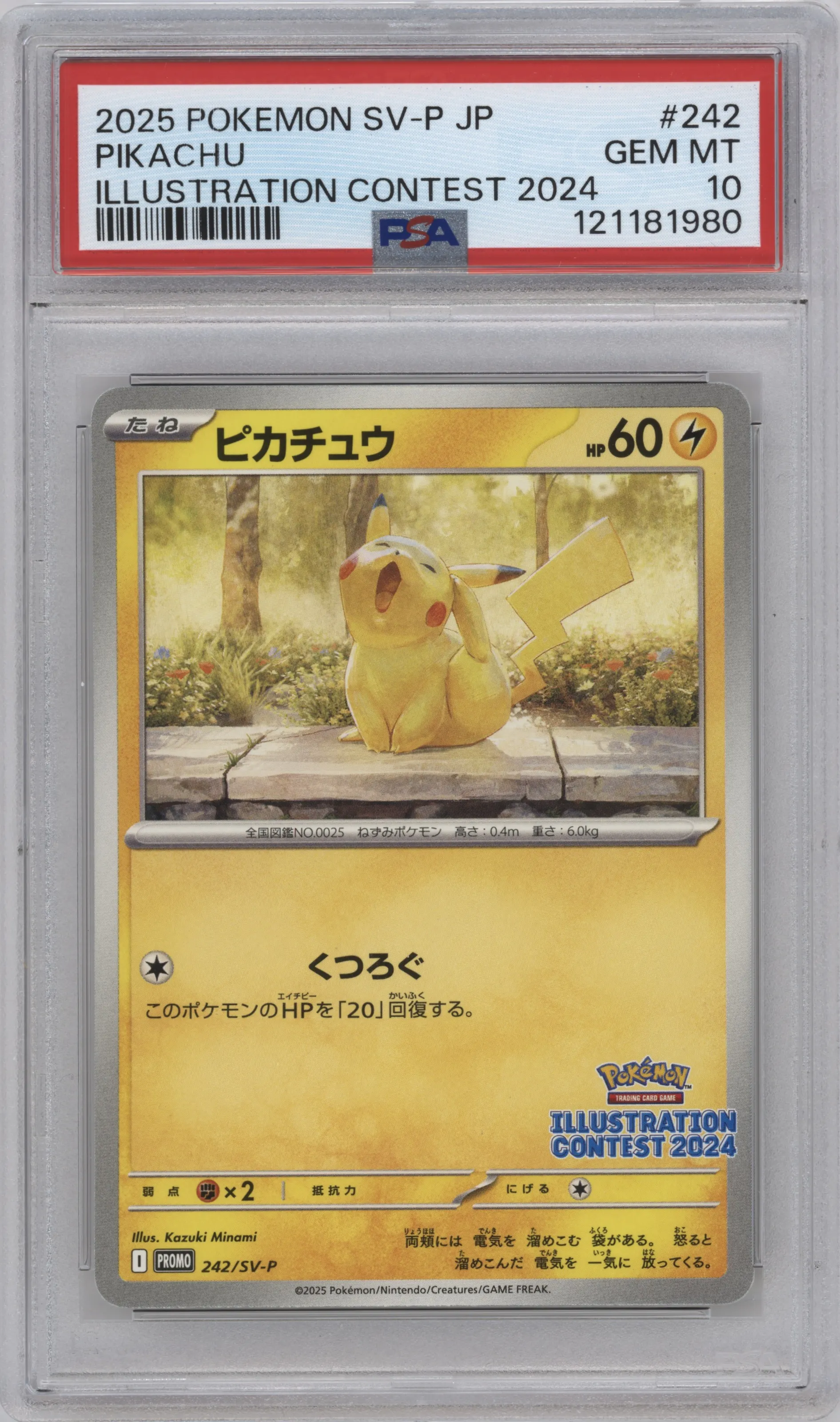 Pikachu | ARENA CLUB