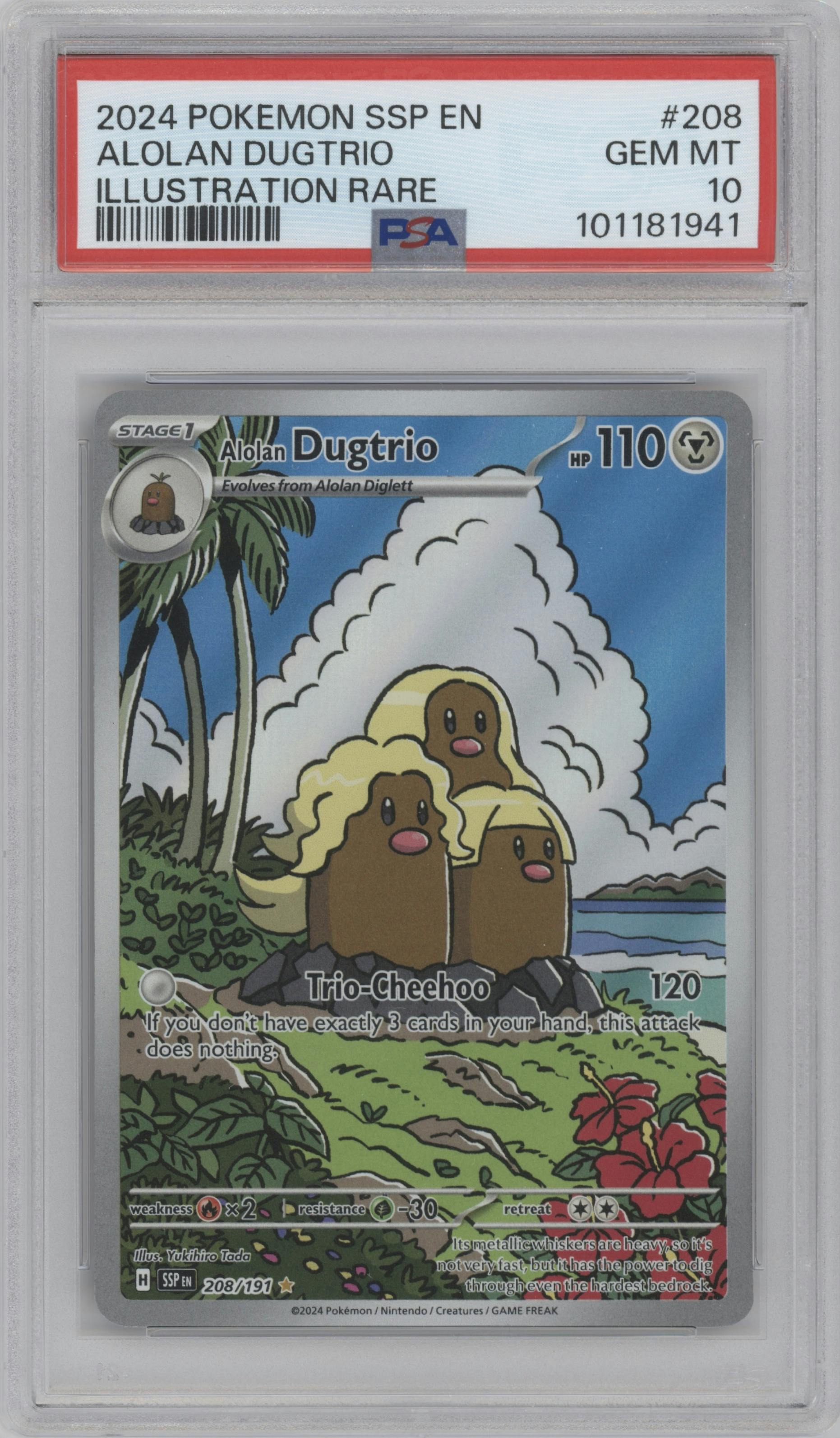 Slab Packs | ARENA CLUB