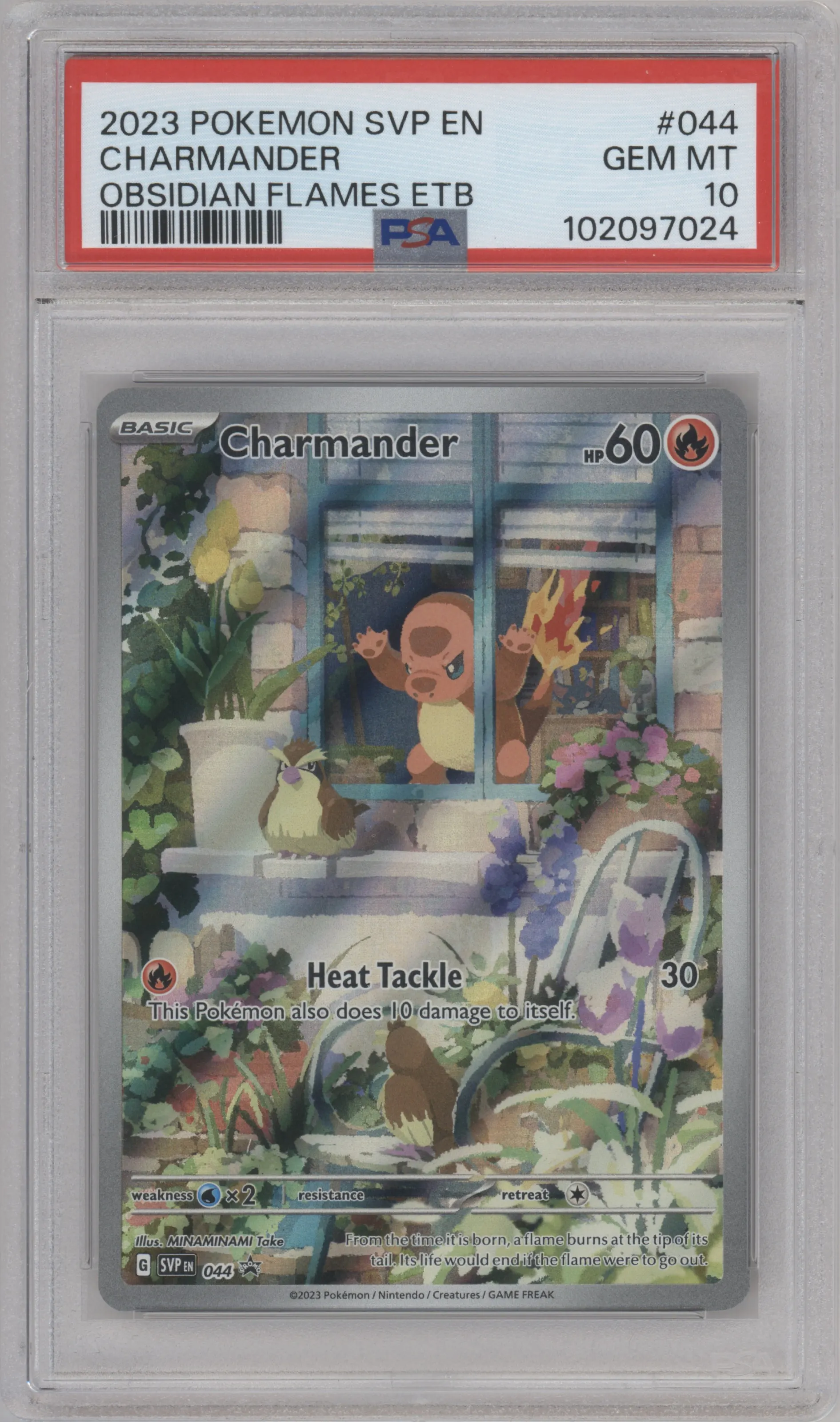 Charmander | ARENA CLUB