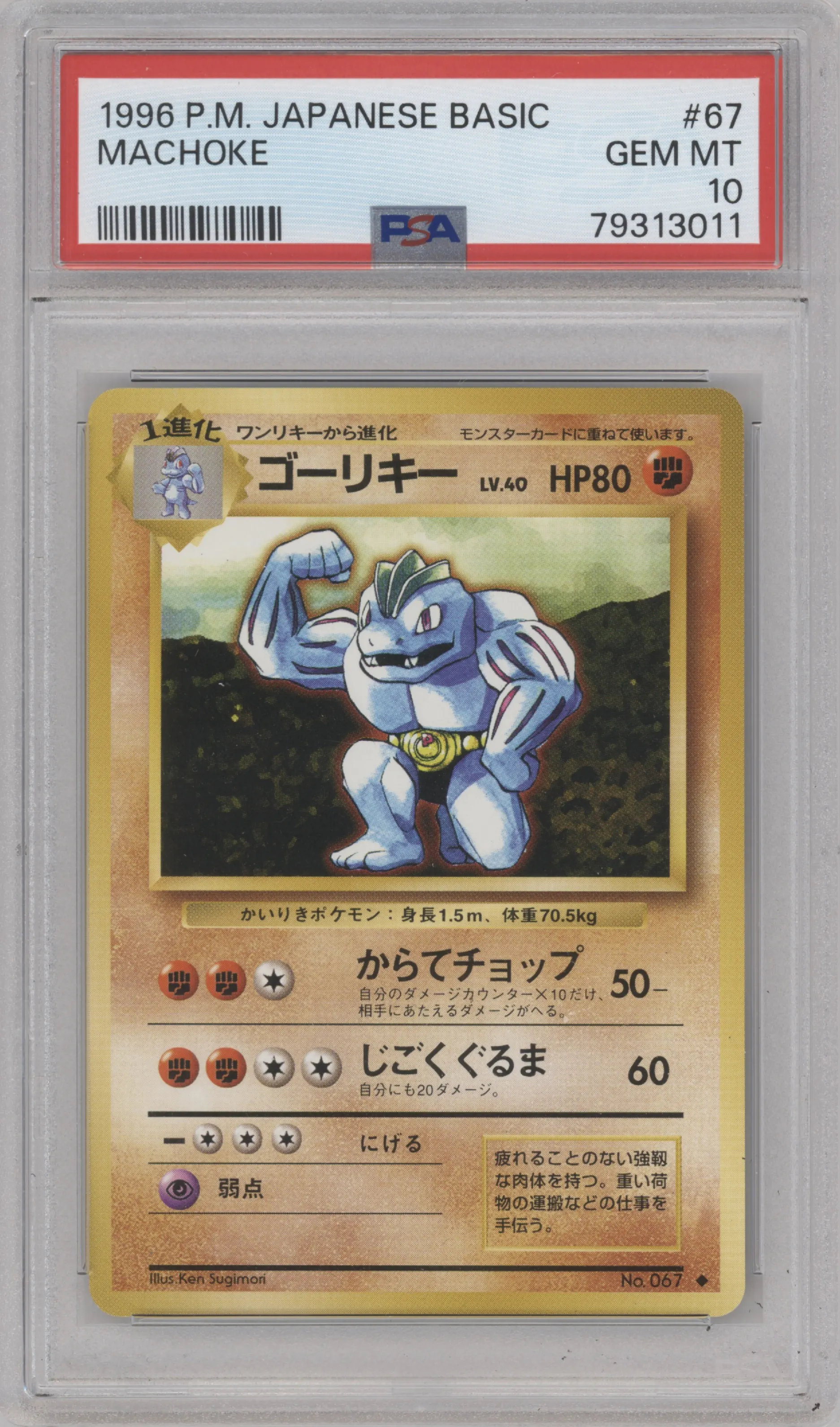 Machoke | ARENA CLUB