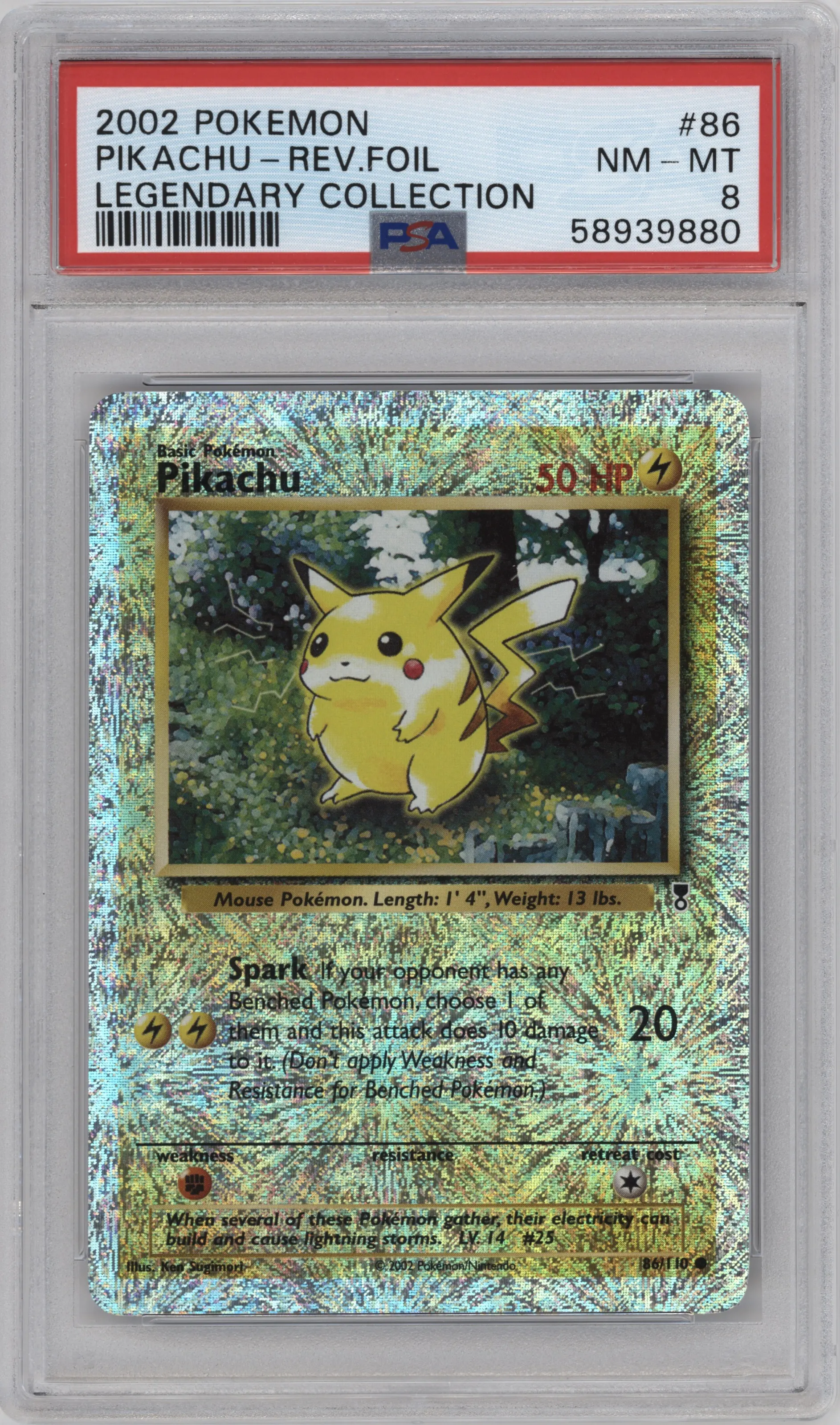 Pikachu | ARENA CLUB