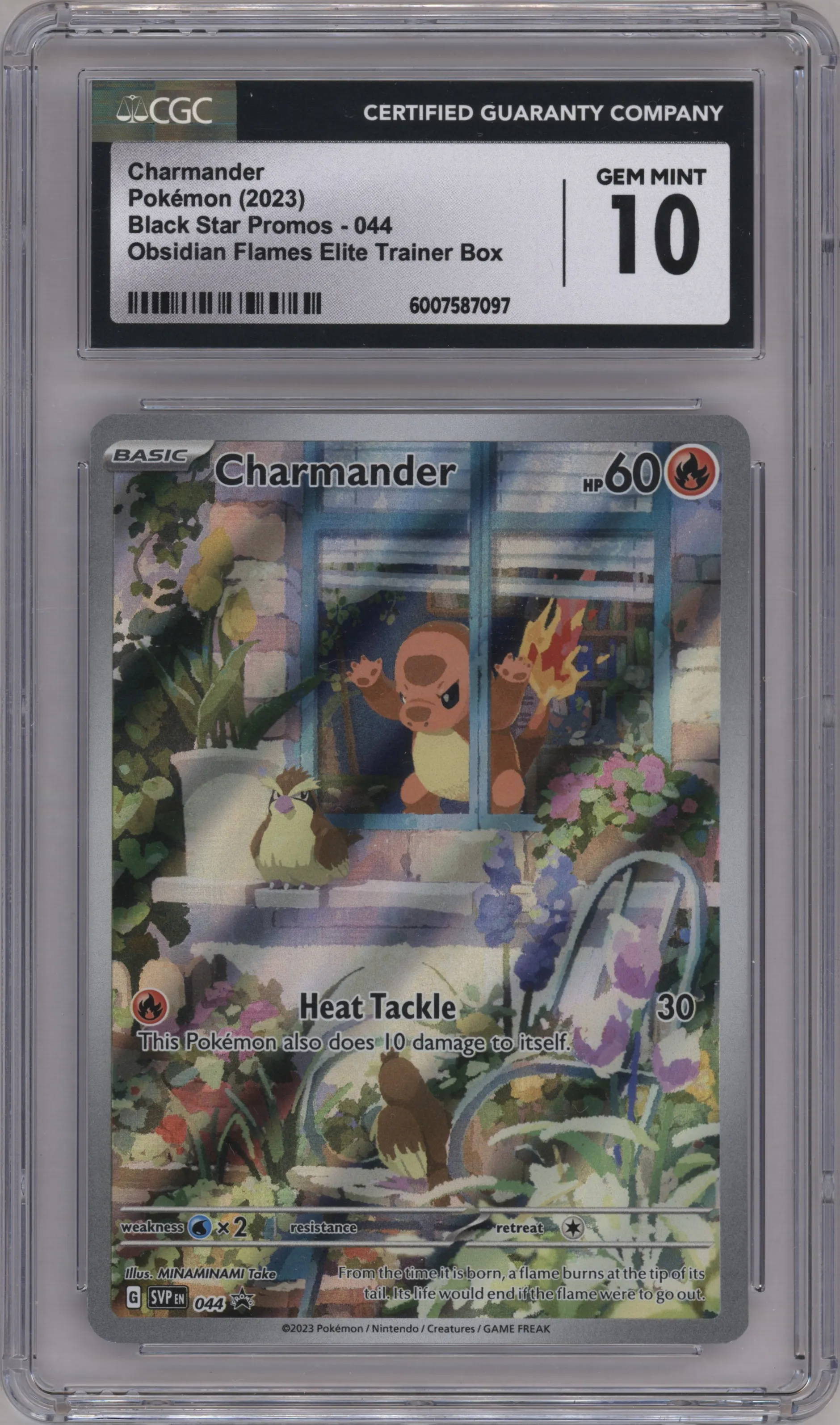Charmander | ARENA CLUB