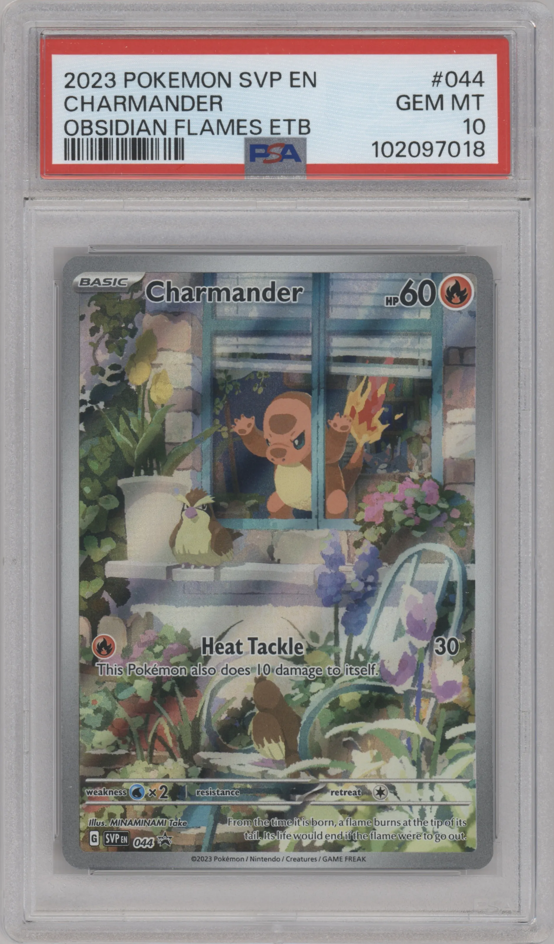 Charmander | ARENA CLUB