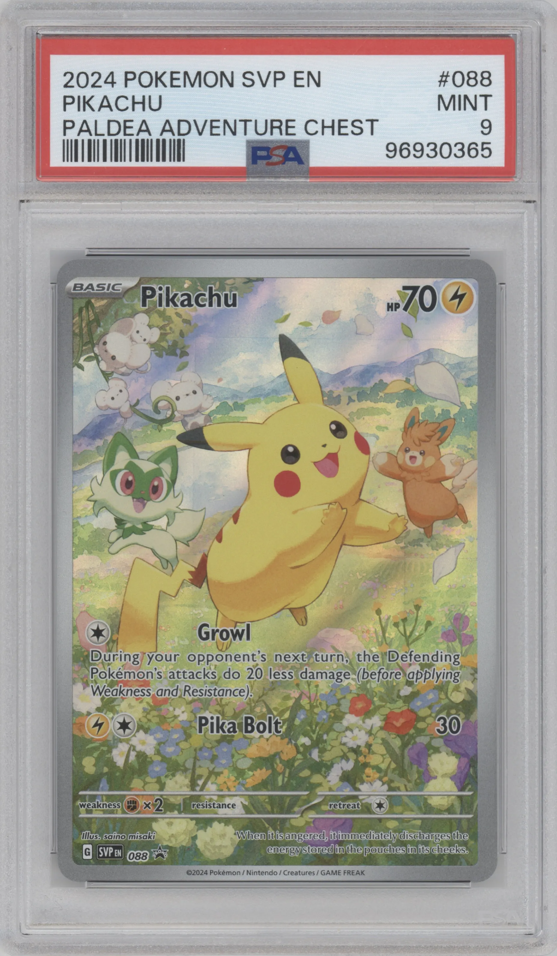 Pikachu | ARENA CLUB