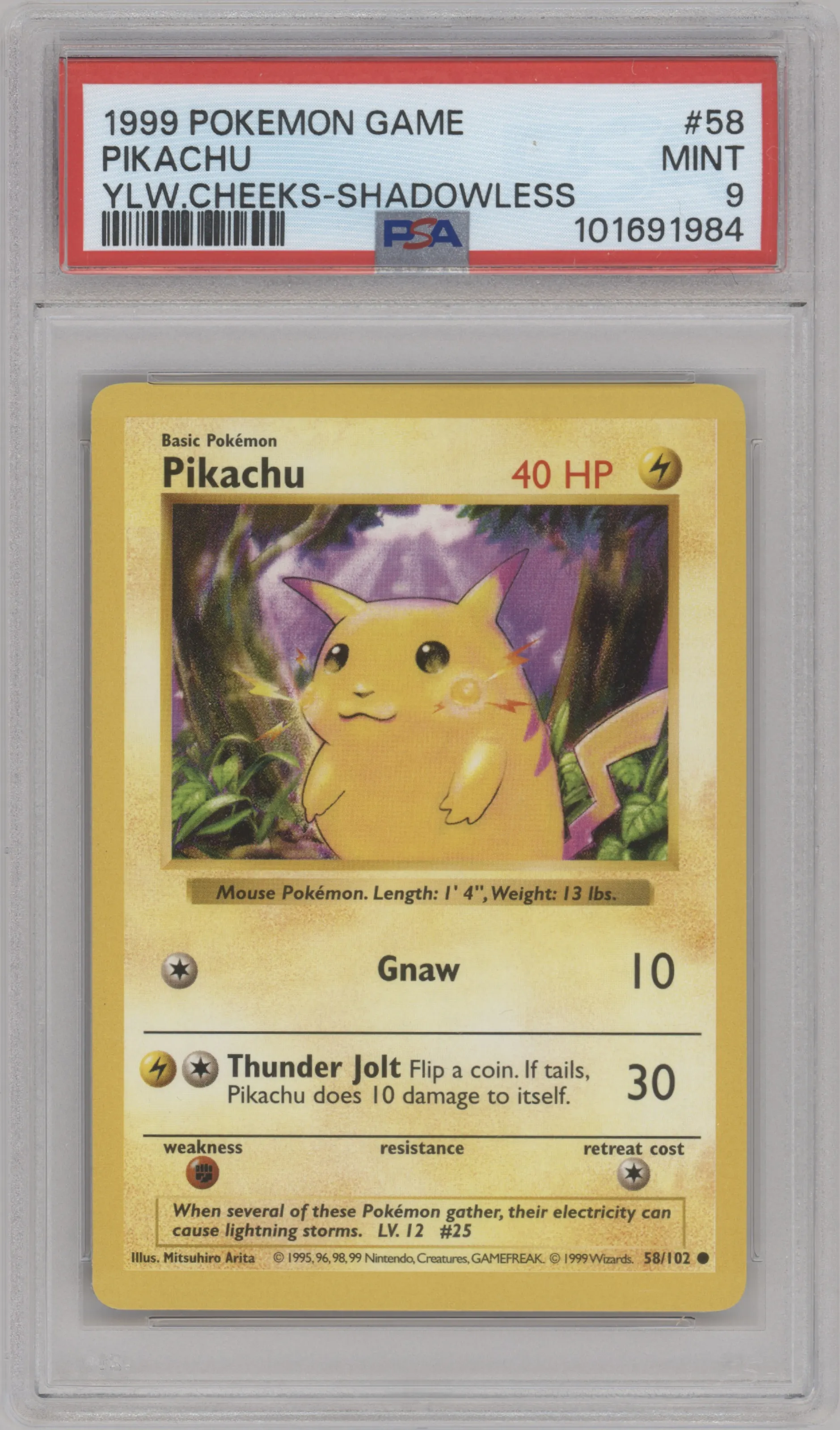 Pikachu | ARENA CLUB