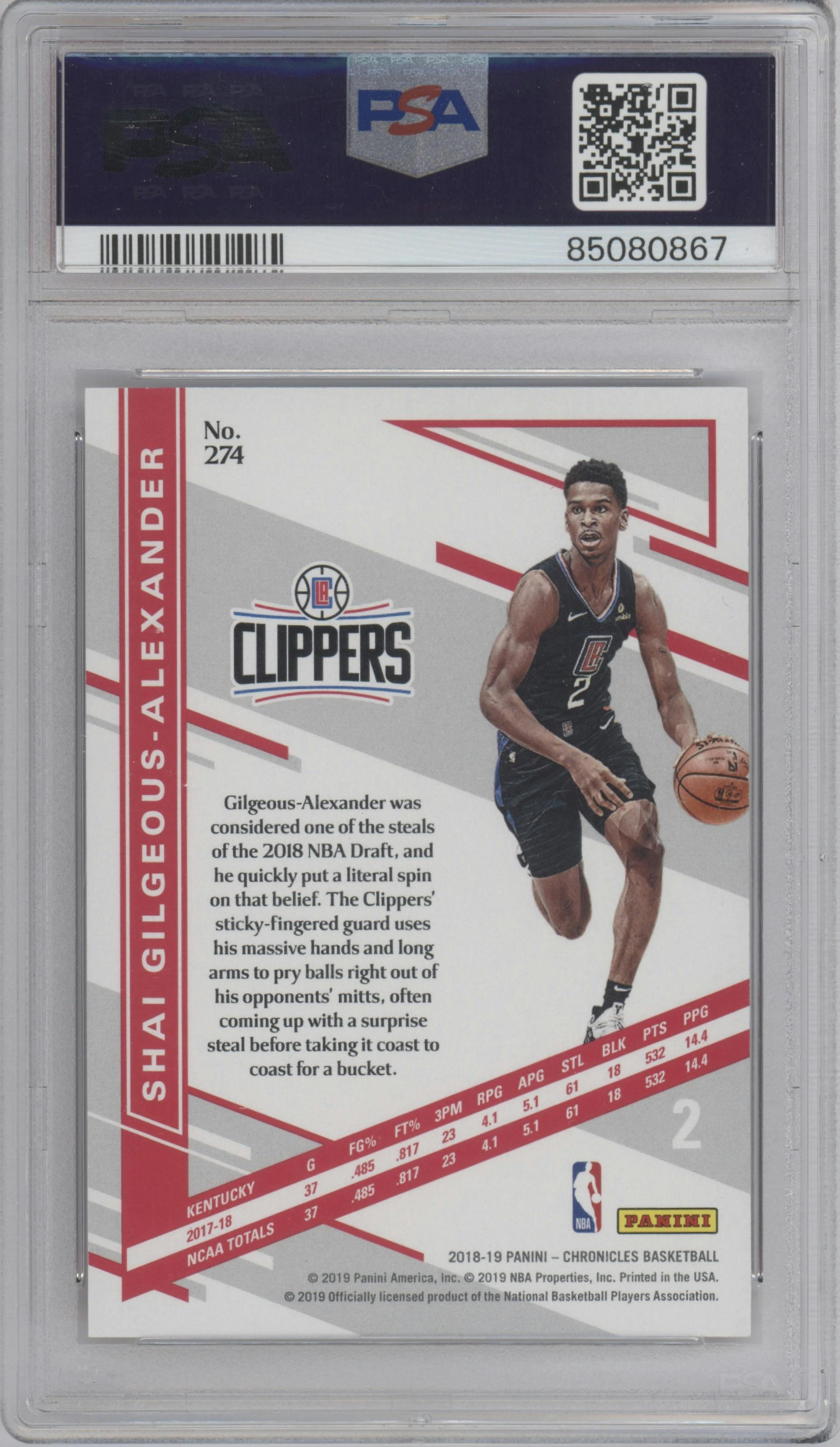 Slab Packs | ARENA CLUB