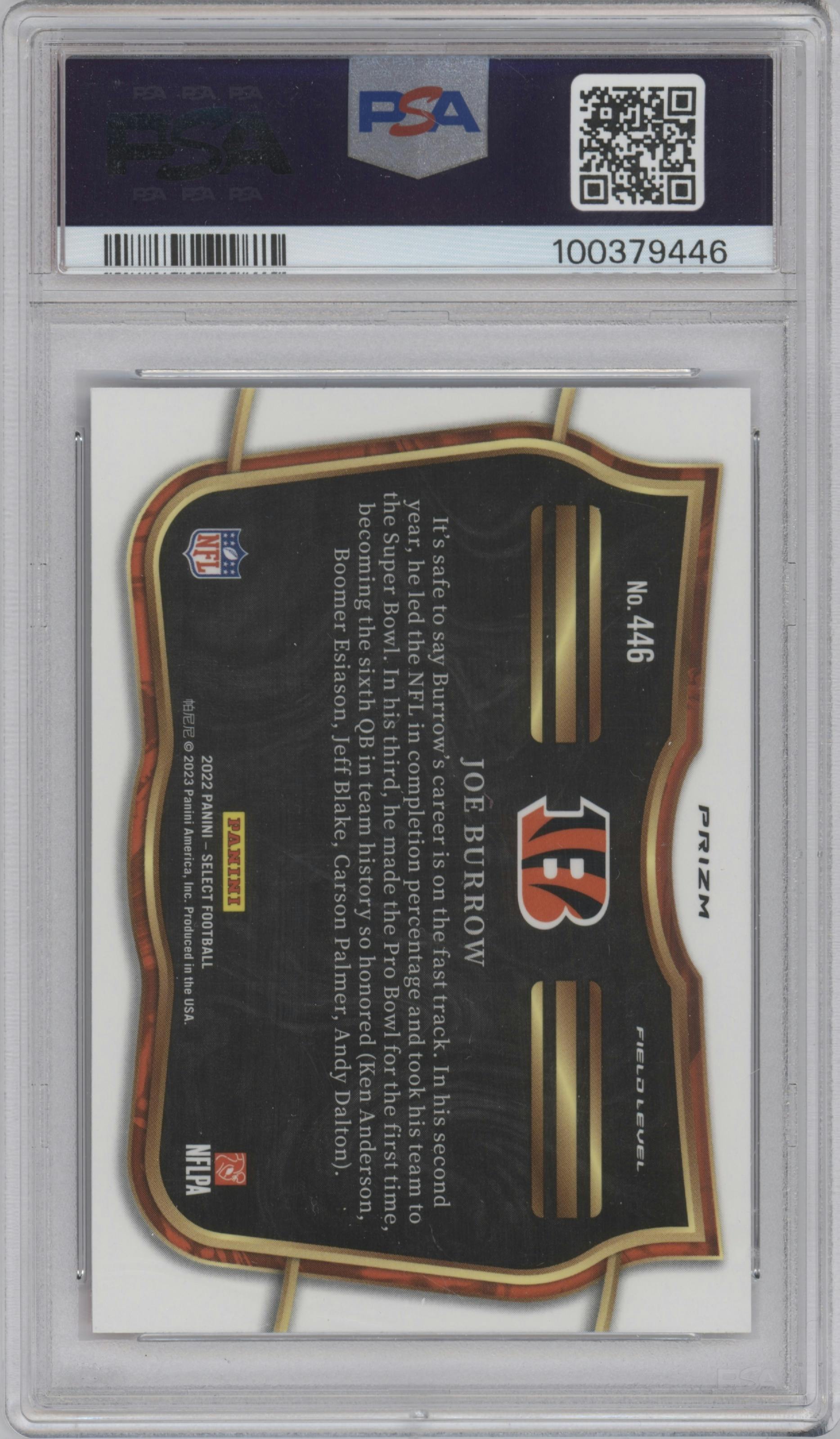 Slab Packs | ARENA CLUB