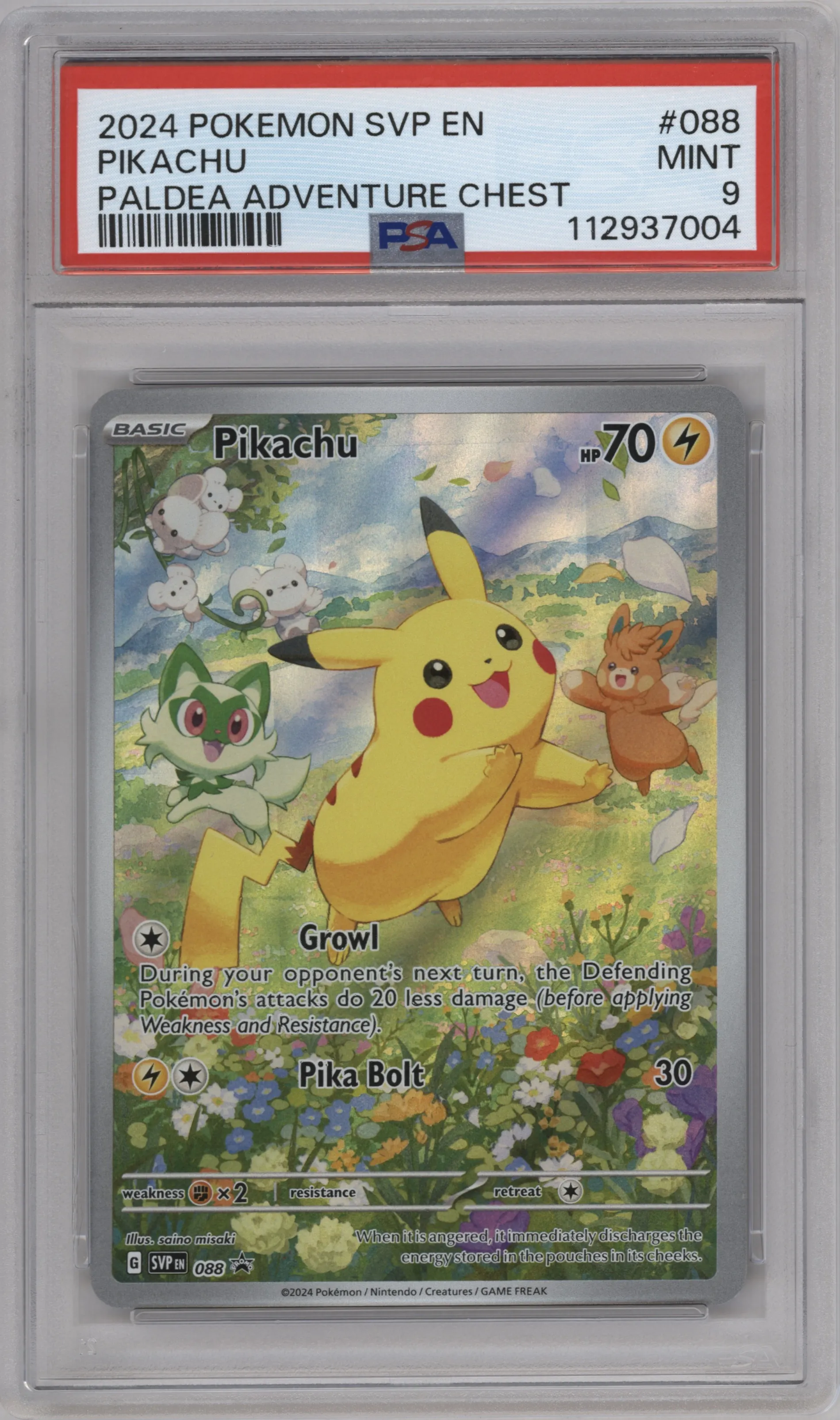 Pikachu | ARENA CLUB