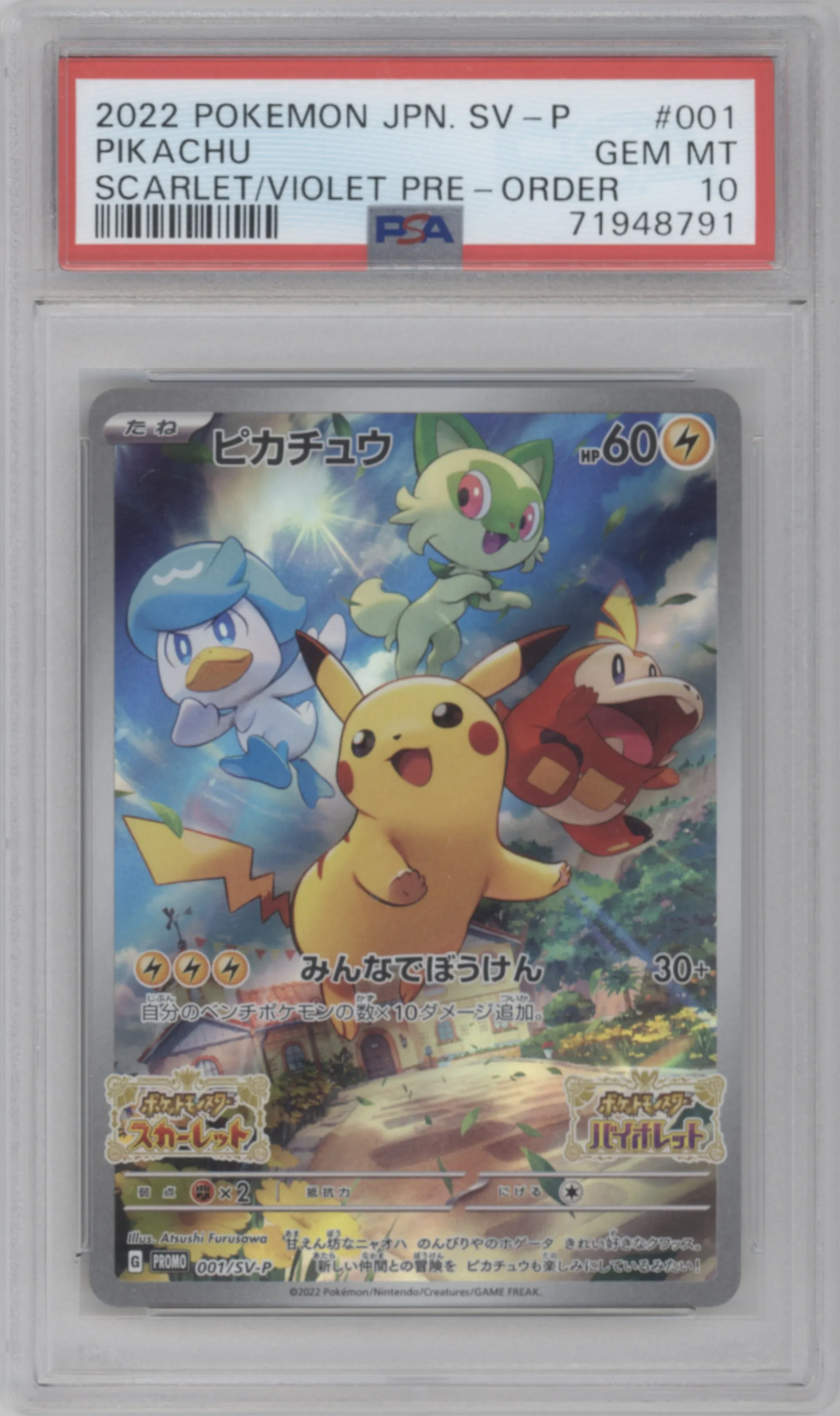 Pikachu | ARENA CLUB