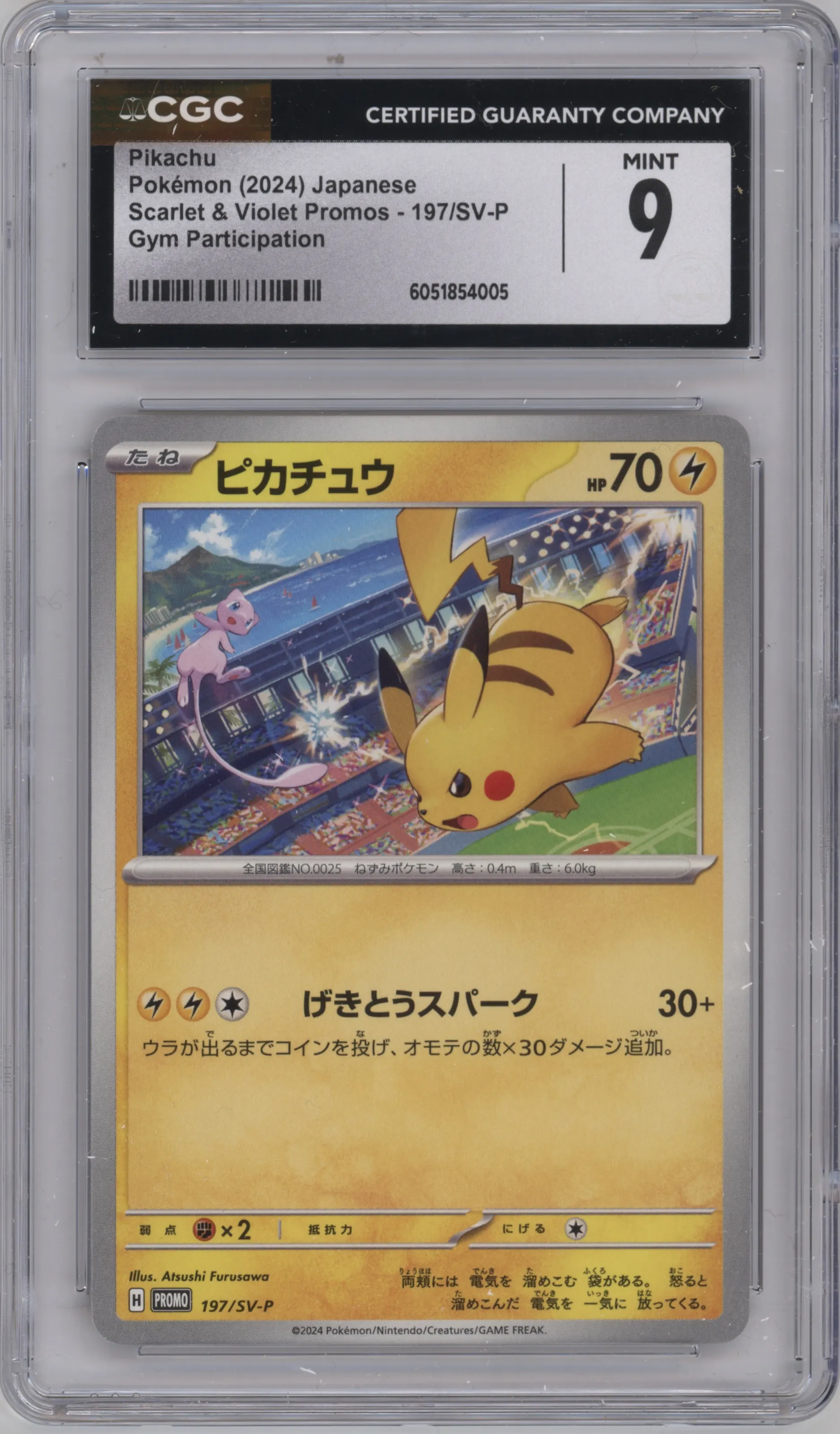 Pikachu | ARENA CLUB
