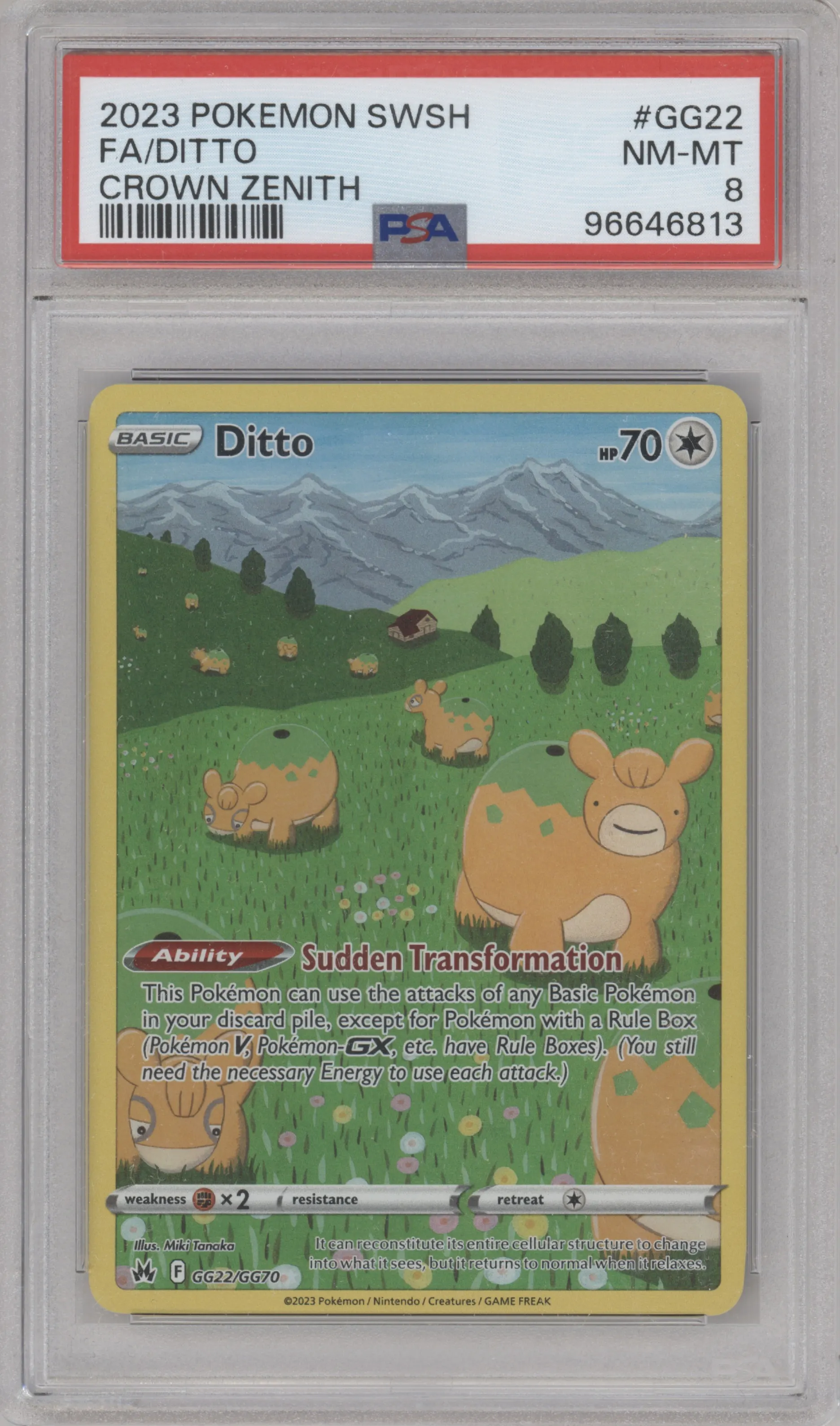 Ditto | ARENA CLUB