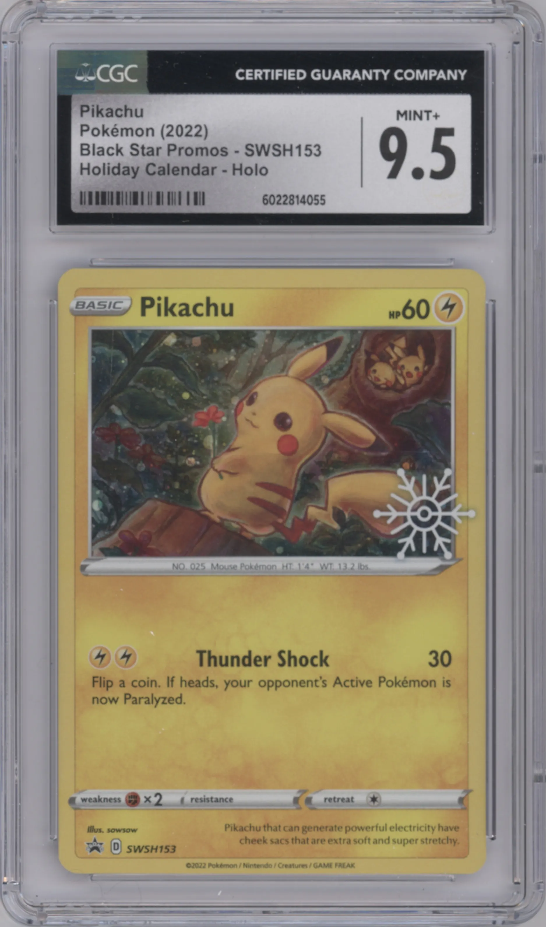 Pikachu | ARENA CLUB