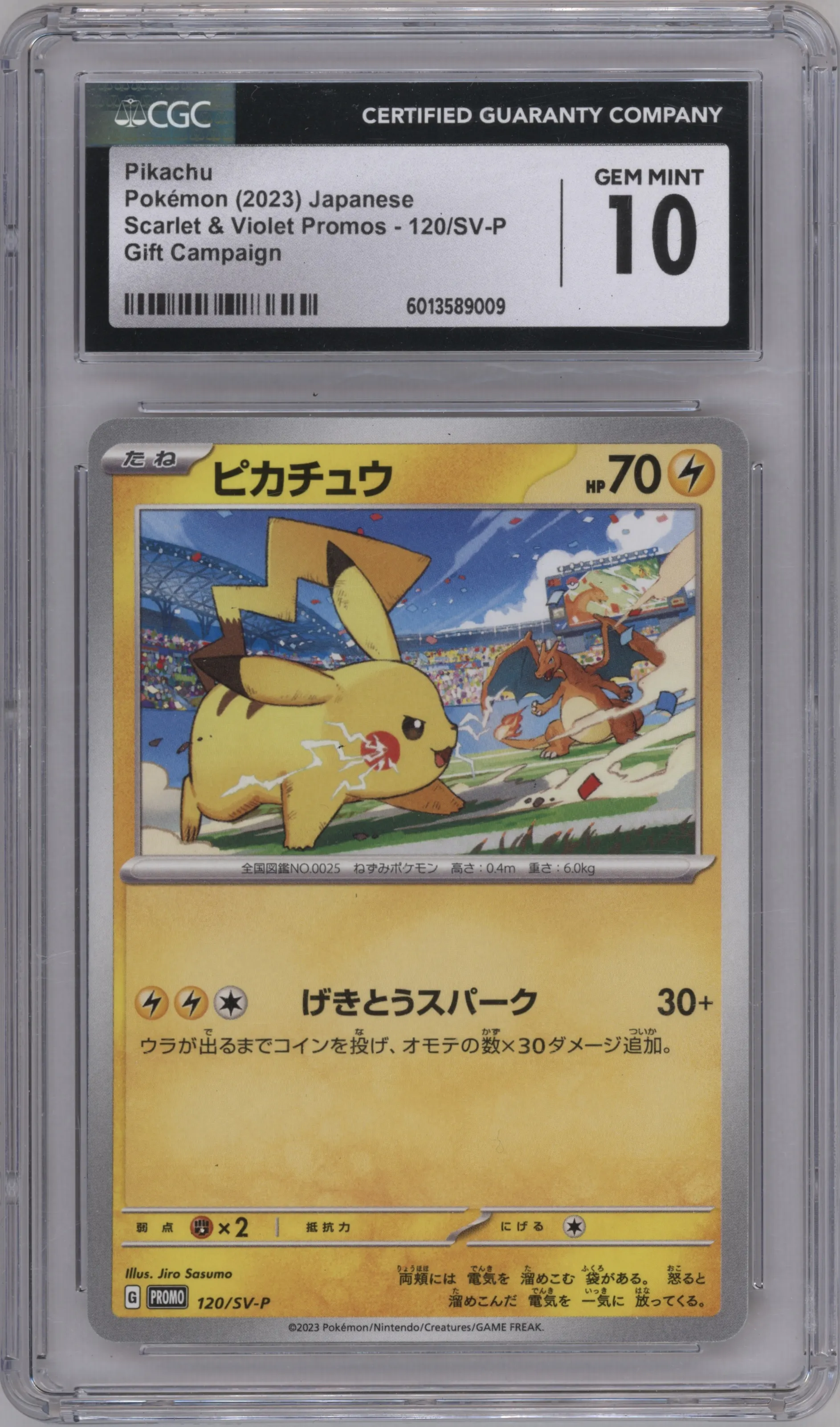 Pikachu | ARENA CLUB