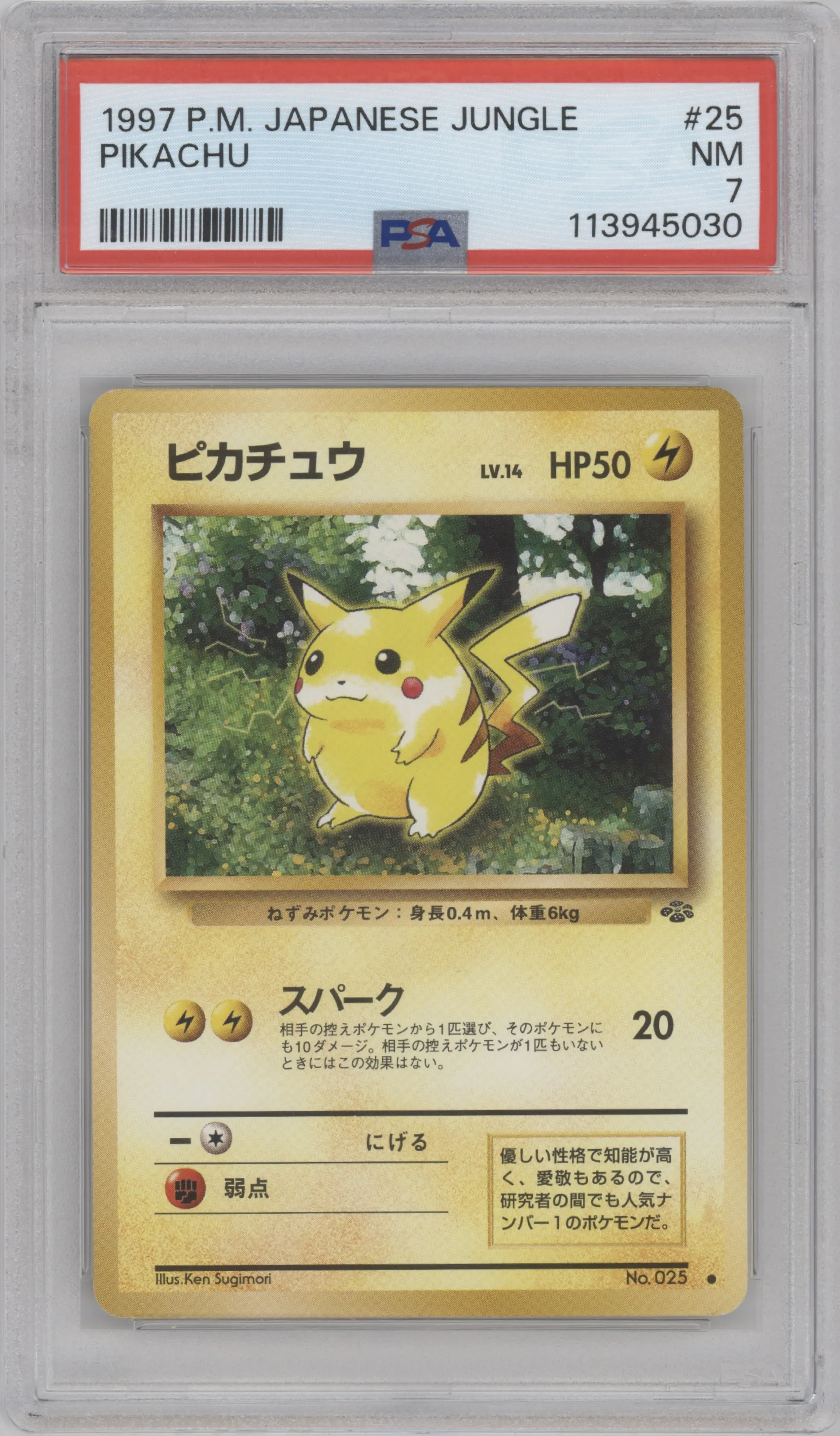 Pikachu | ARENA CLUB