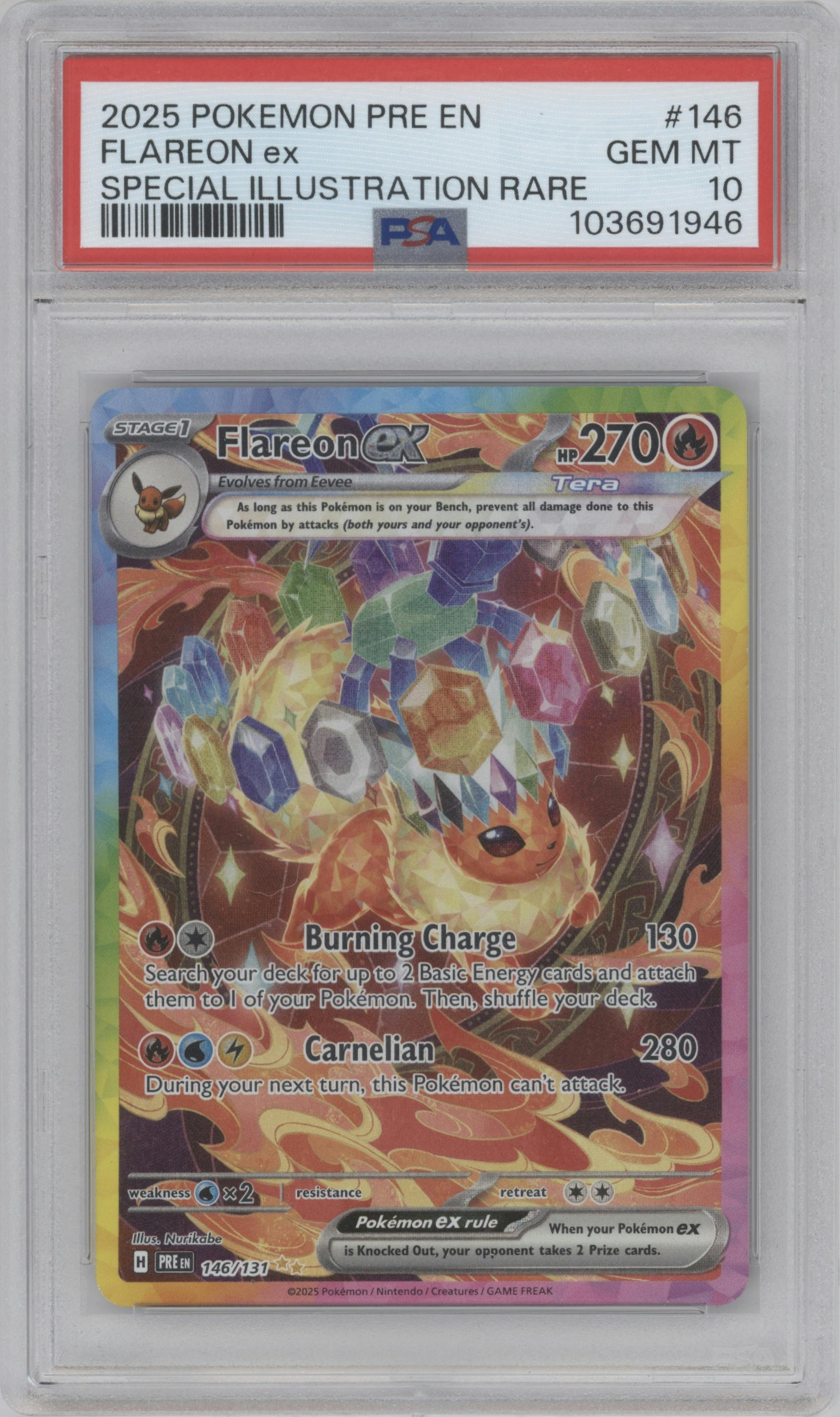 Slab Packs | ARENA CLUB