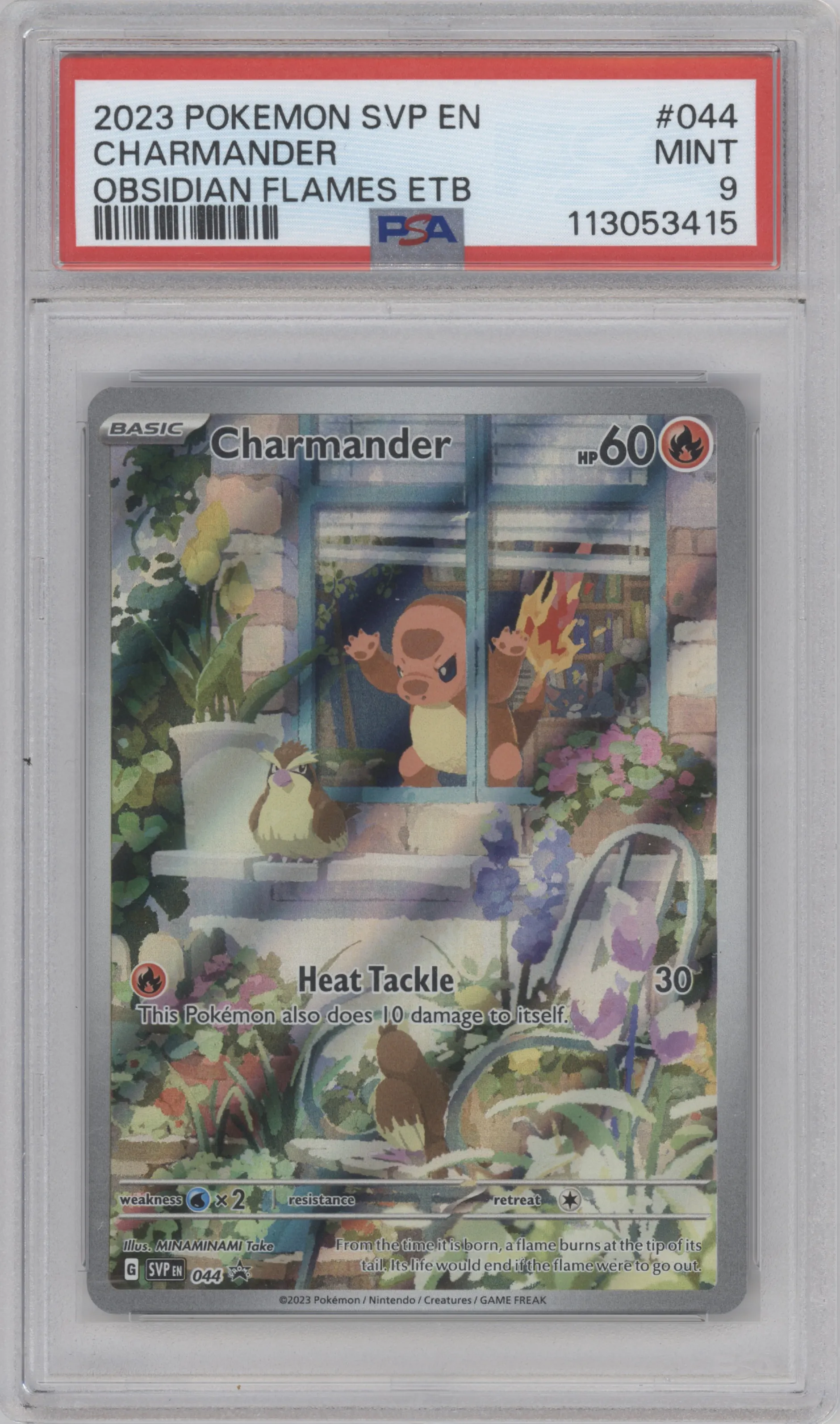 Charmander | ARENA CLUB