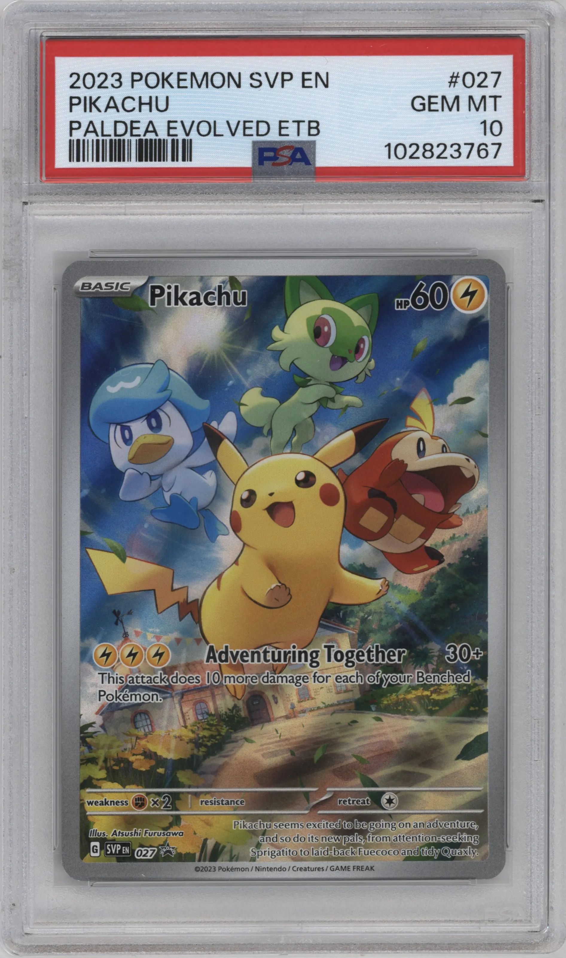 Pikachu | ARENA CLUB