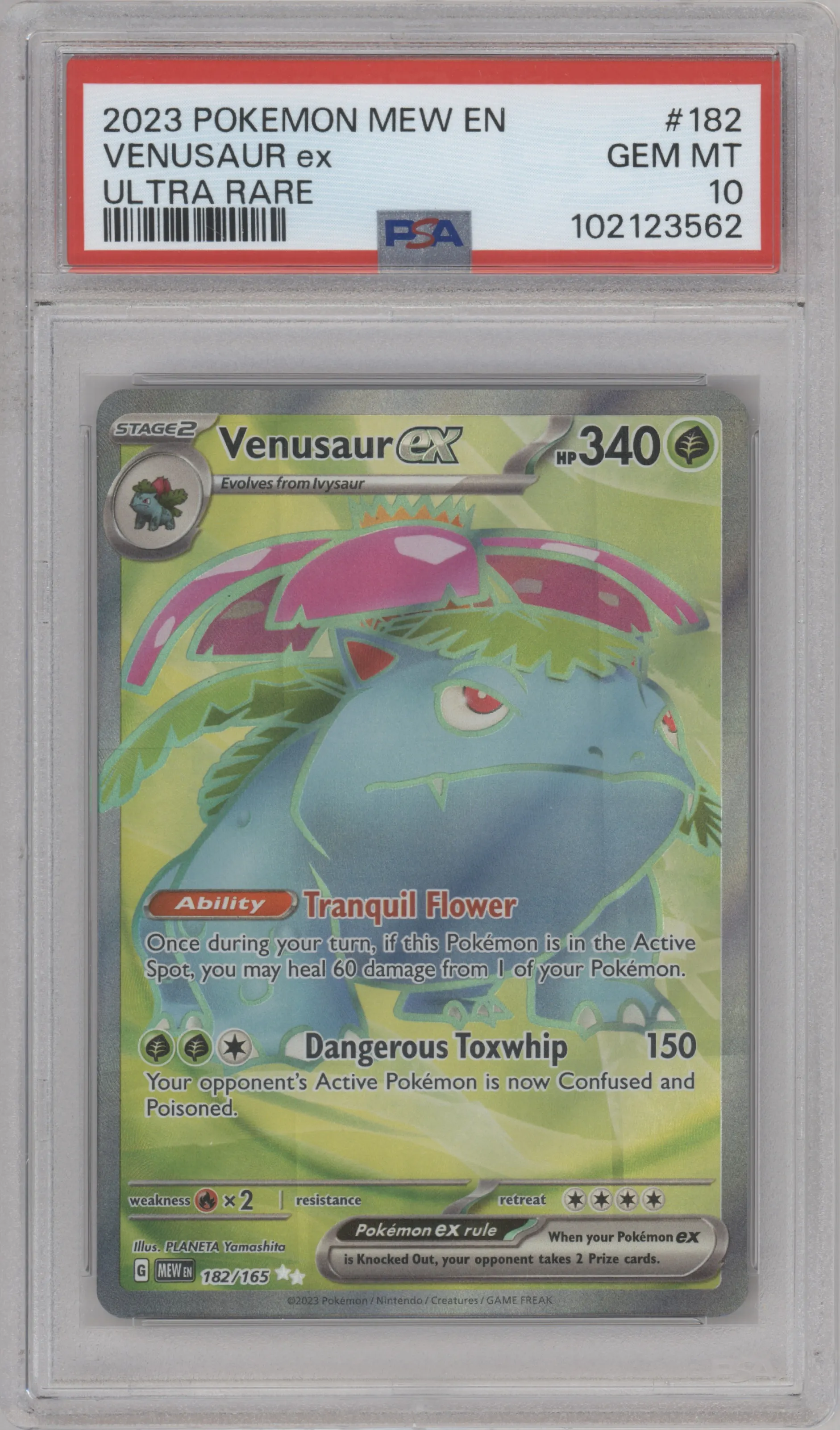 Venusaur ex | ARENA CLUB
